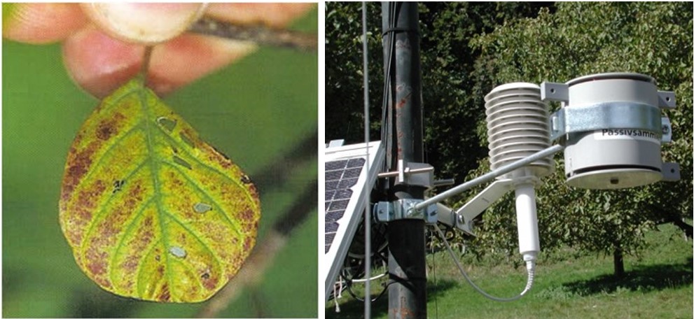 Ecosystems – passam ag